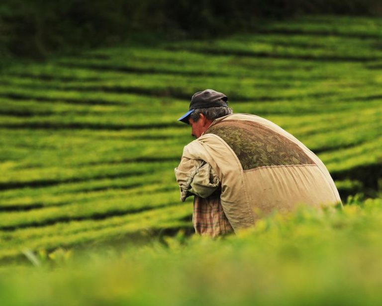 The Latino Face of Human Trafficking and Exploitation in the United ...