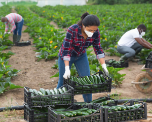 Labor Exploitation and Trafficking of Agricultural Workers During the ...